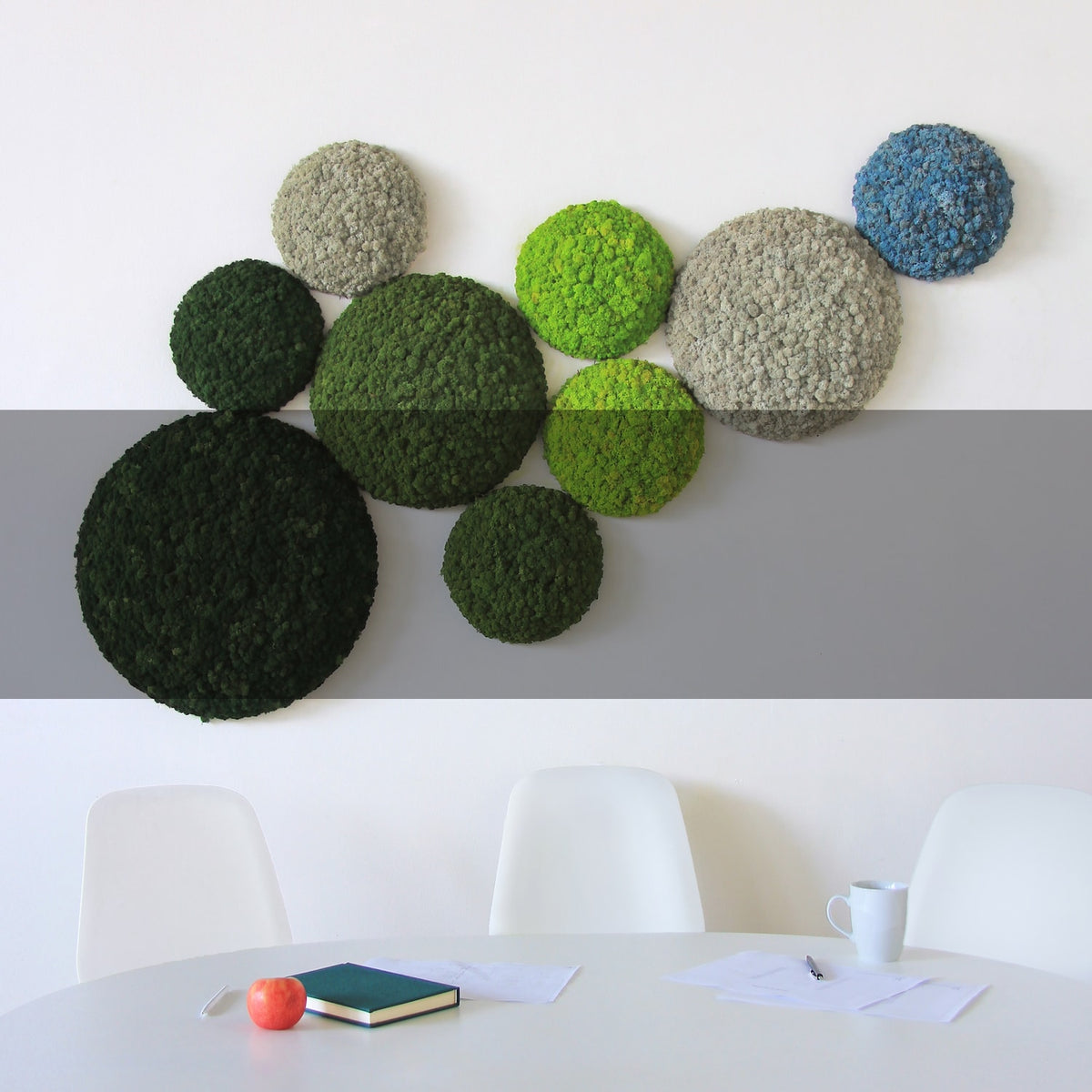 AKUSTIKMOOS – Calmore.ch by Bellton AG